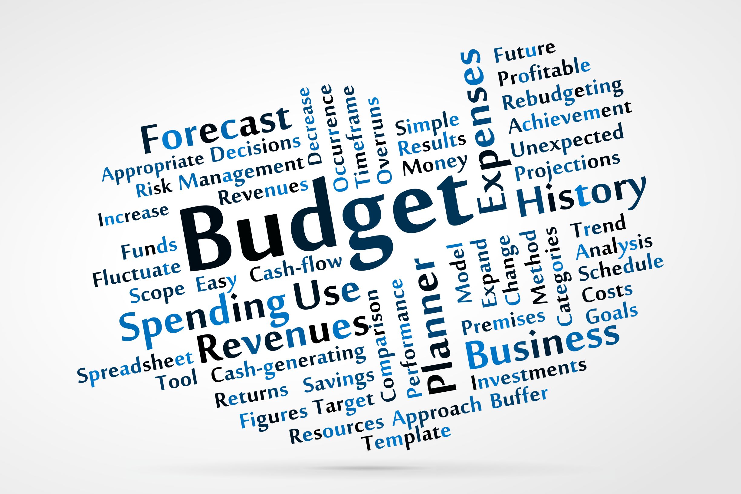 Budgeting for Successful Care: How an ERP Solution Will Help Budgeting for Successful Care: How an ERP Solution Will Help